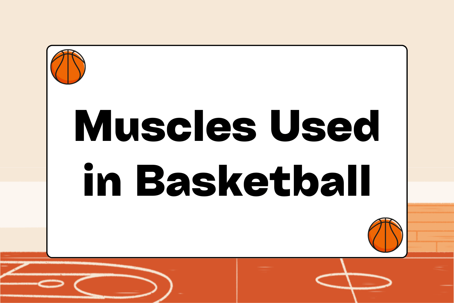 The Core Muscles Used In Basketball